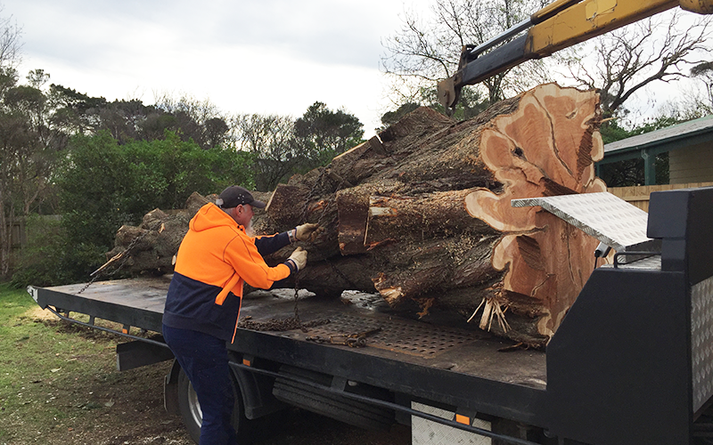 Out on a Limb Tree Services - Tree Lopping, West Coast,Gippsland